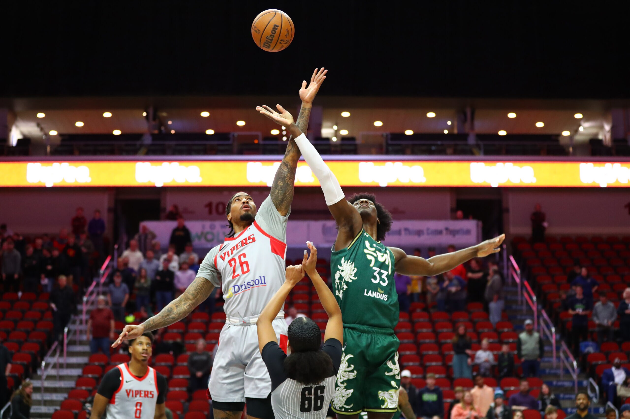 VIPERS LATE COMEBACK FALLS SHORT - RGV Vipers