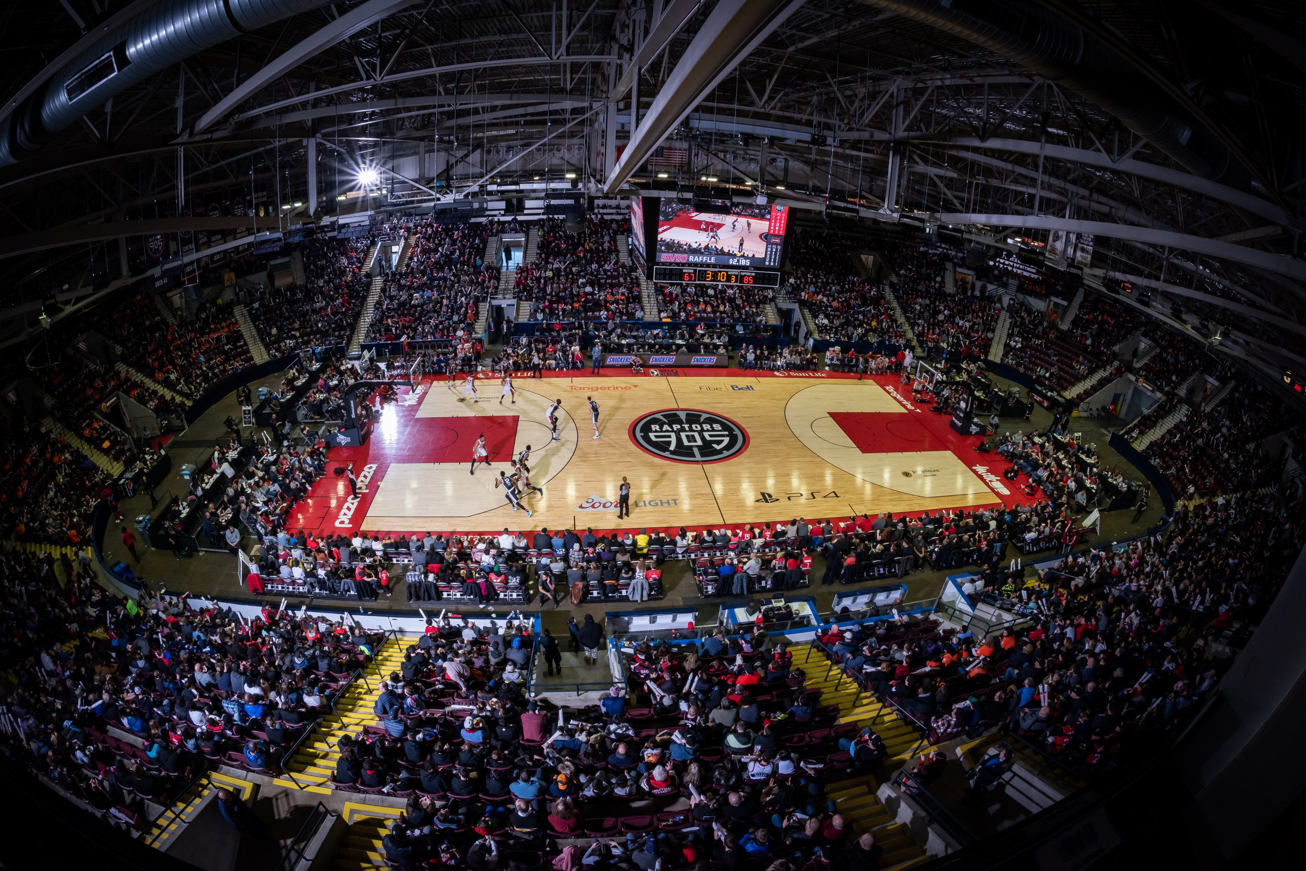 Entry Policy - Raptors 905